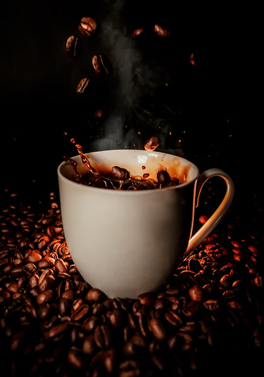 High-Fidelity ( Onboarding )